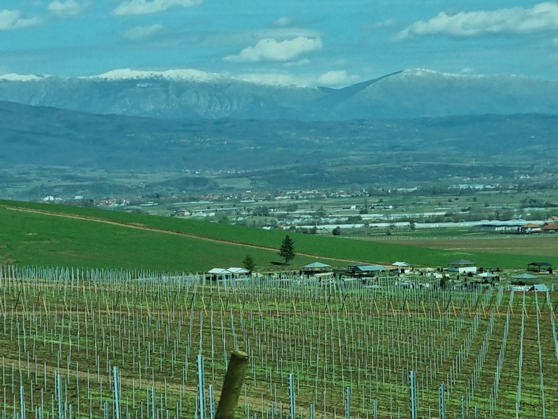 Pogled na Leskovac sa buduće „Toskane“ (foto i video priča ...